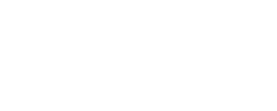 Master Matchmakers® - Professional Matchmaking